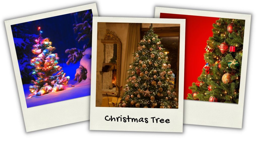 50 Christmas Symbols With Their Origins & Meanings