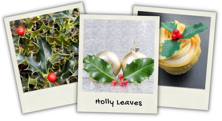 50 Christmas Symbols With Their Origins & Meanings