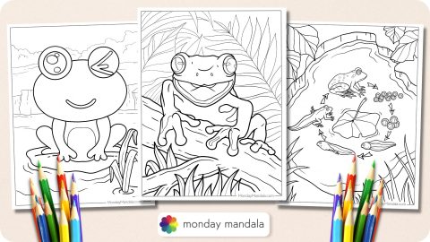 30 Frog Coloring Pages (Free PDF Printables)
