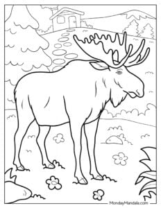 24 Moose Coloring Pages (Free PDF Printables)