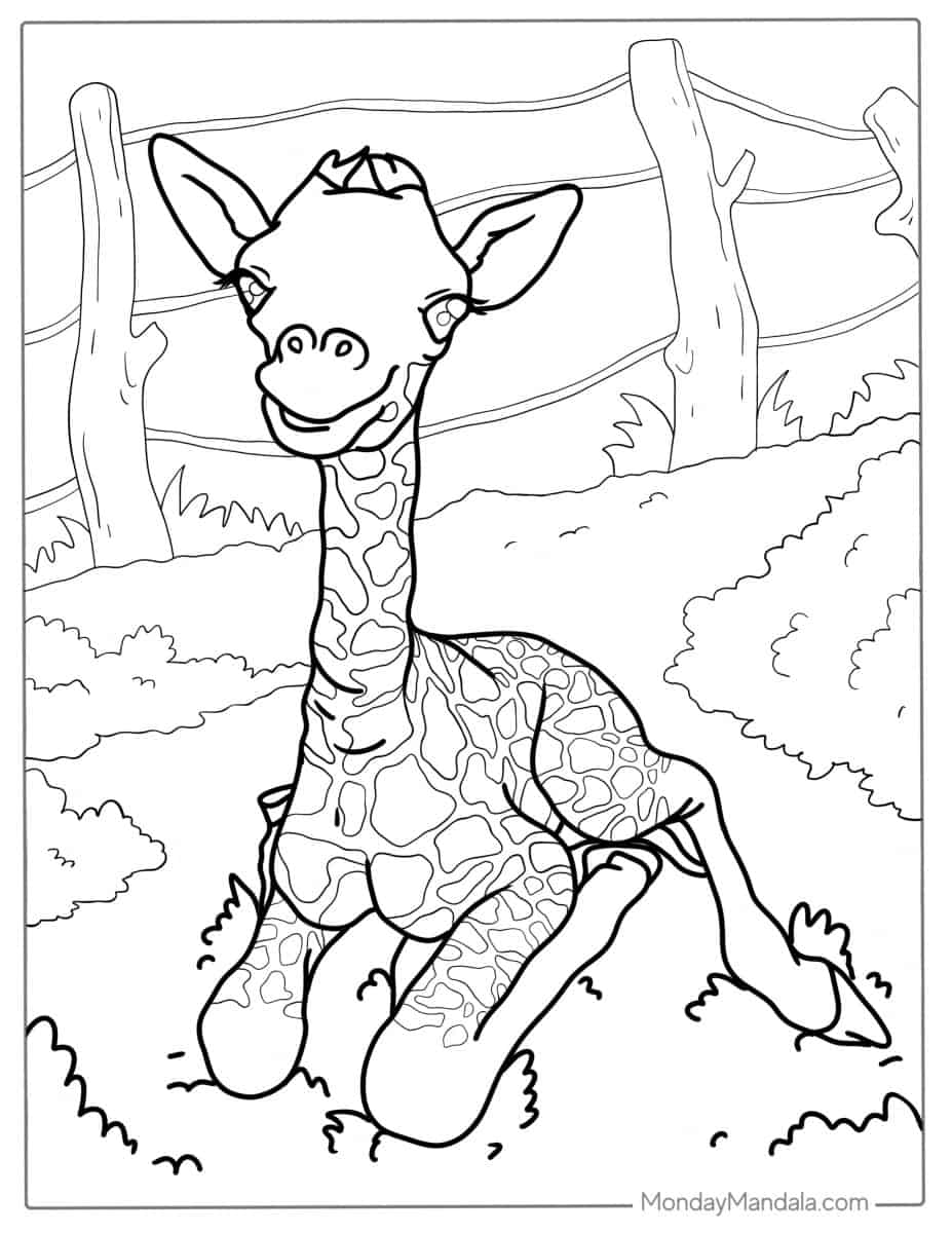 41 Giraffe Coloring Pages (Free PDF Printables)