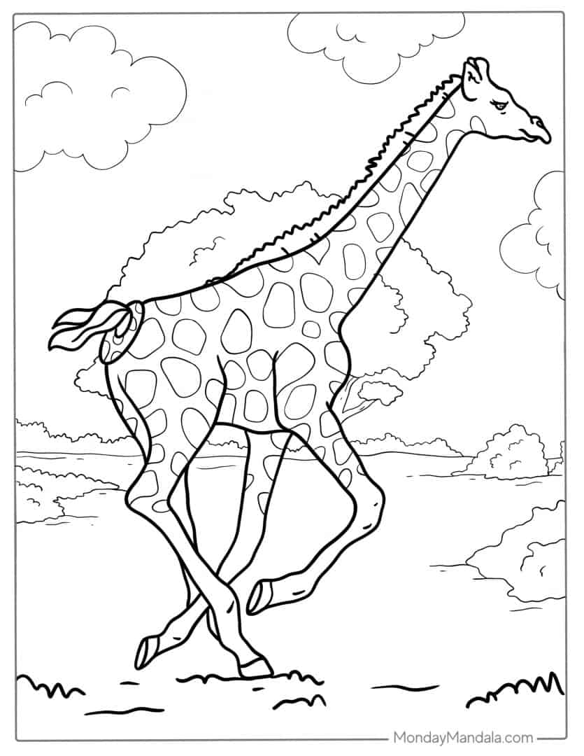 41 Giraffe Coloring Pages (Free PDF Printables)