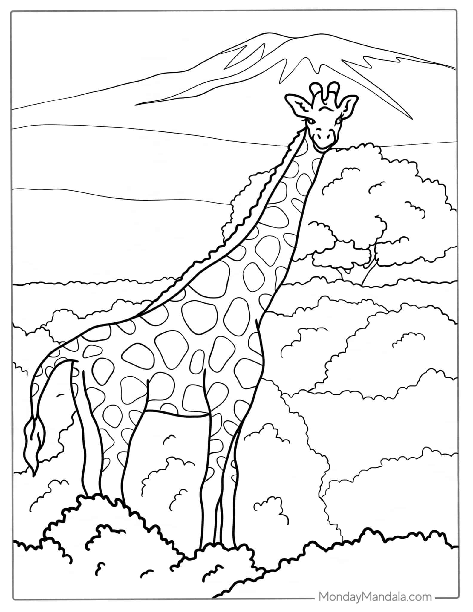41 Giraffe Coloring Pages (Free PDF Printables)