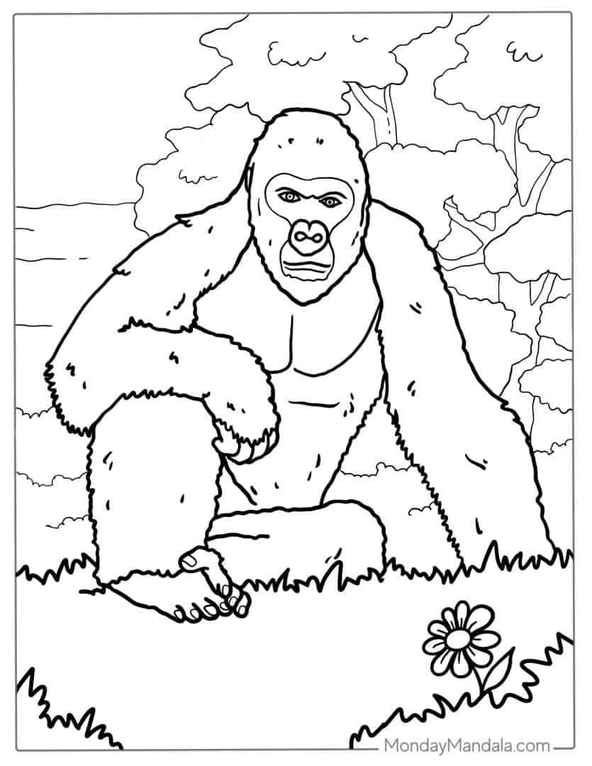 32 Gorilla Coloring Pages (Free PDF Printables)