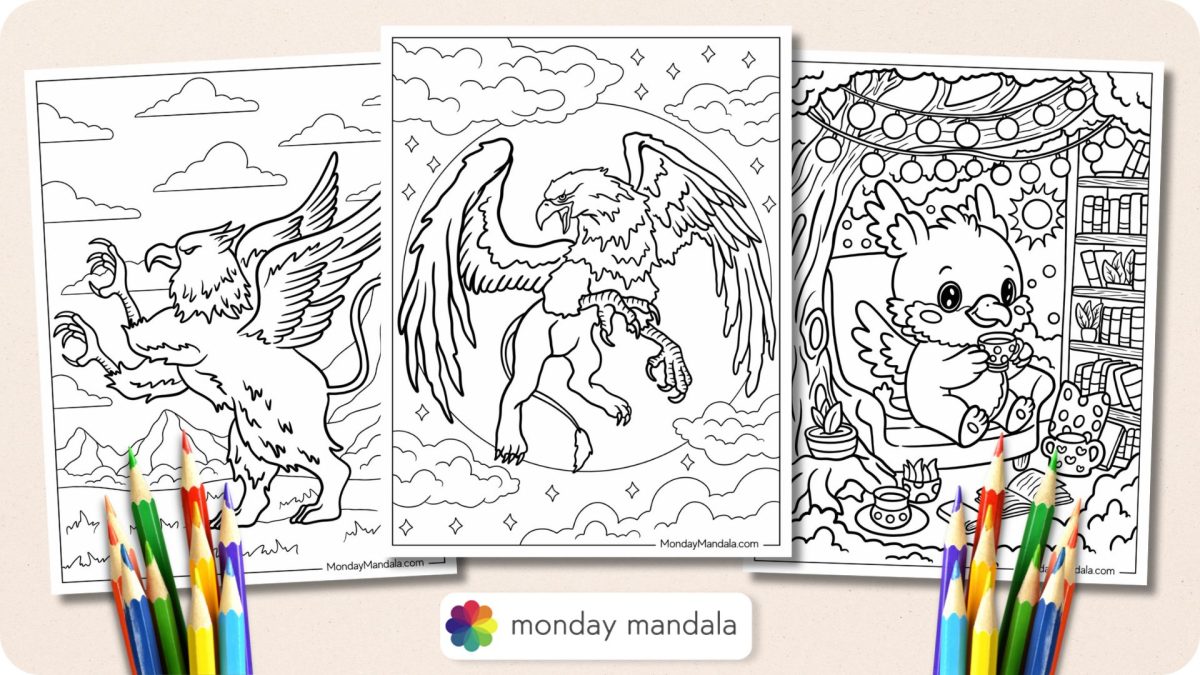 24 Racoon Coloring Pages (Free PDF Printables)