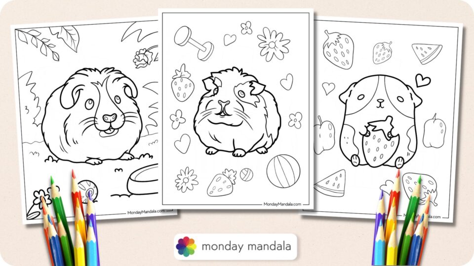 20 Guinea Pig Coloring Pages (Free PDF Printables)