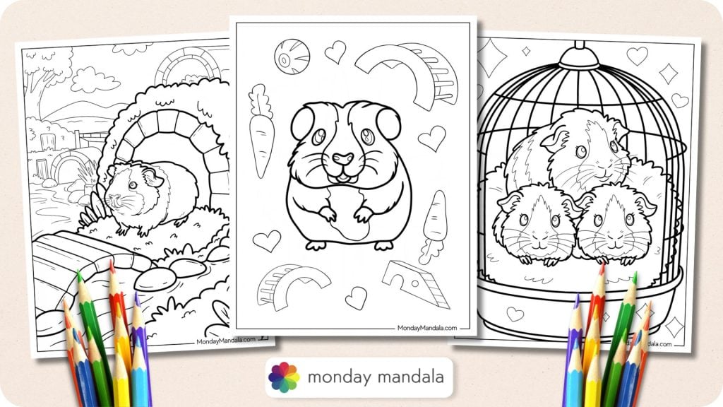 32 Guinea Pig Coloring Pages (Free PDF Printables)