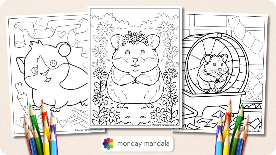 35 Hamster Coloring Pages (Free PDF Printables)