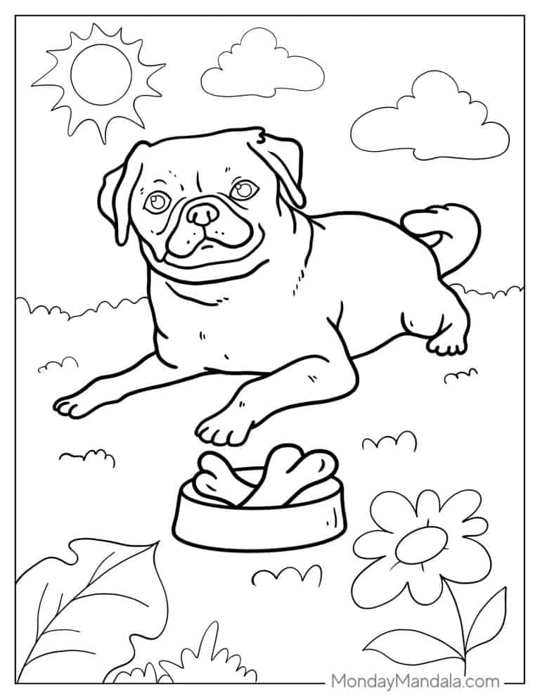 43 Pug Coloring Pages (Free PDF Printables)