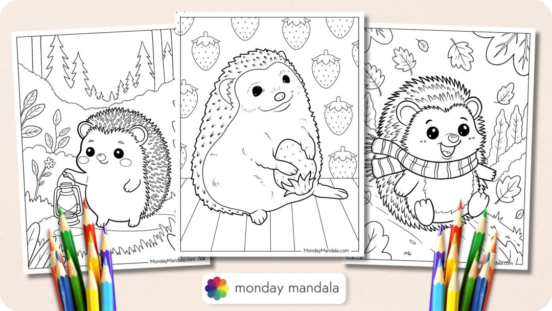 26 Hedgehog Coloring Pages (Free PDF Printables)