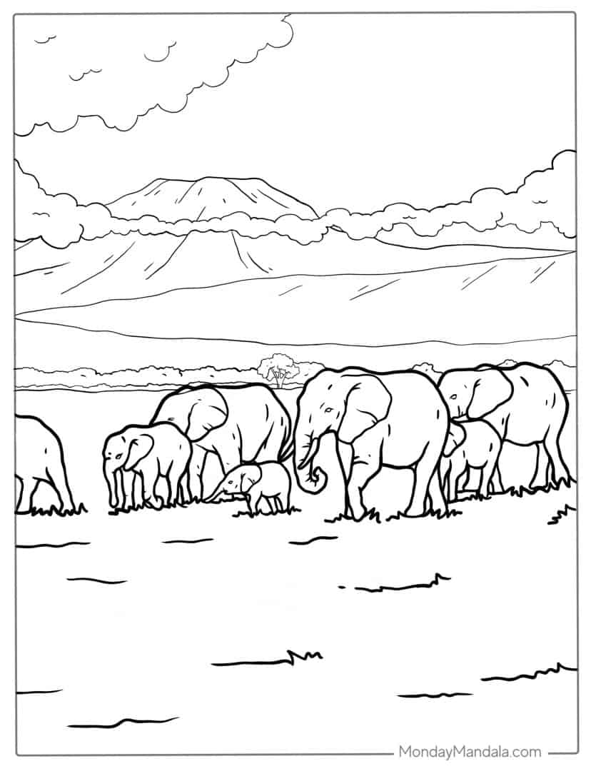 39 Elephant Coloring Pages (Free PDF Printables)