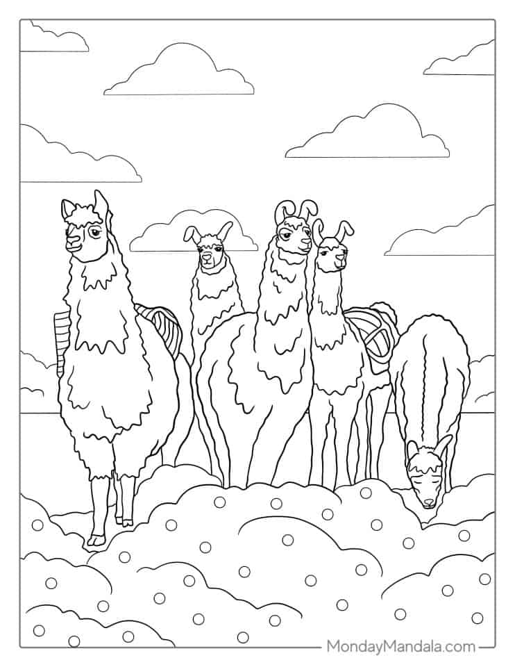 34 Llama Coloring Pages (Free PDF Printables)