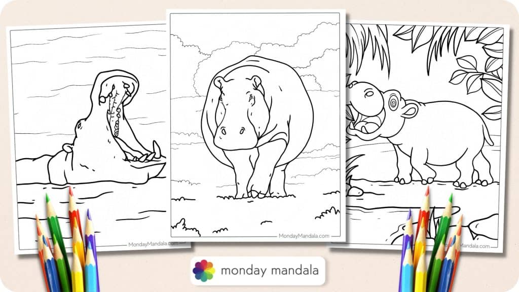 22 Hippo Coloring Pages (Free PDF Printables)