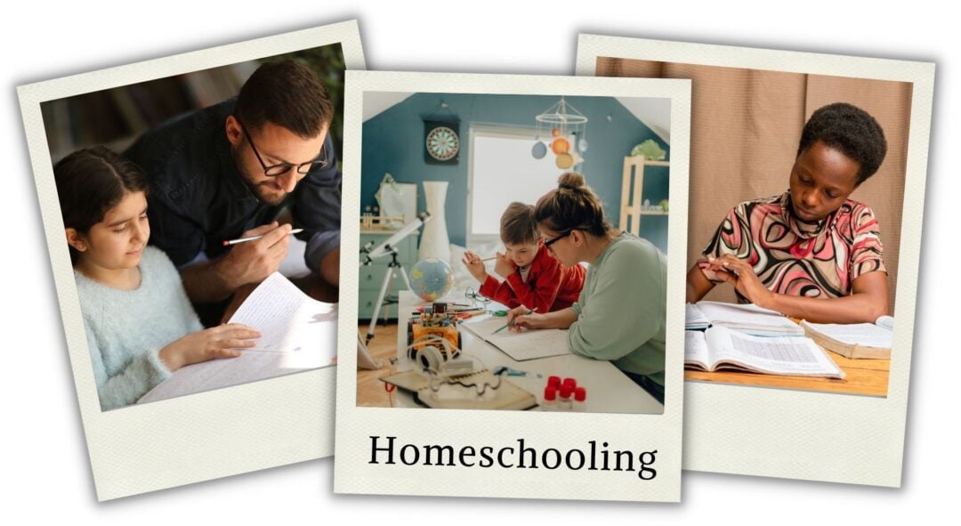 46 Types of Schools: With 21 You Likely Didn't Know Existed