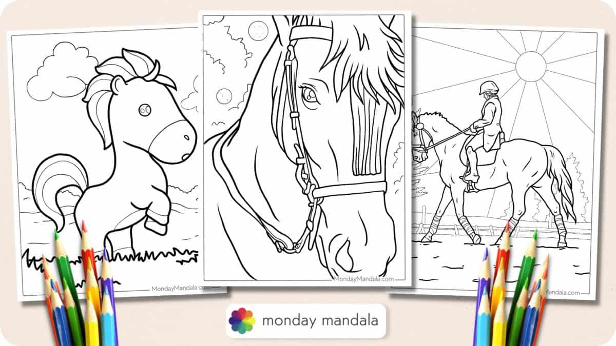 44 Horse Coloring Pages (Free PDF Printables)