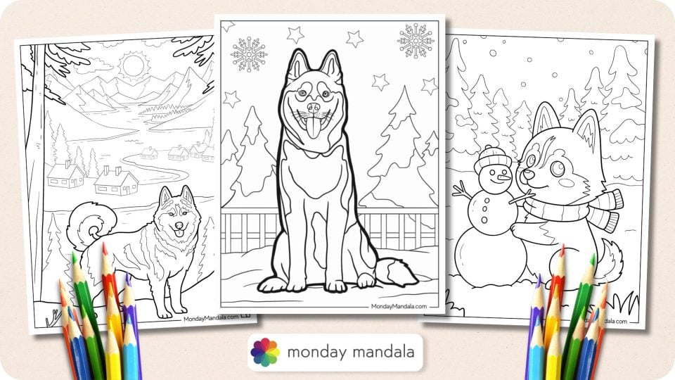 33 Husky Coloring Pages (Free PDF Printables)