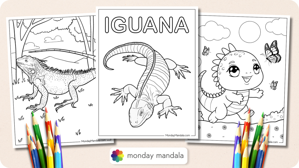 33 Iguana Coloring Pages (Free PDF Printables)