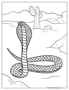 40 Snake Coloring Pages (Free PDF Printables)