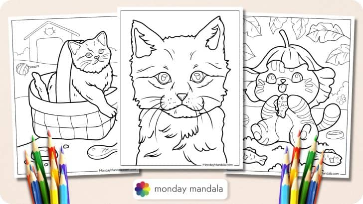 30 Kitten Coloring Pages (Free PDF Printables)