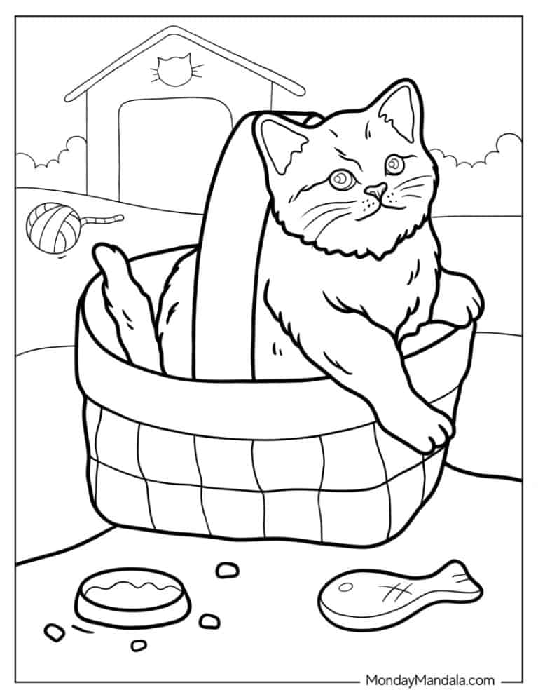 53 Kitten Coloring Pages (Free PDF Printables)