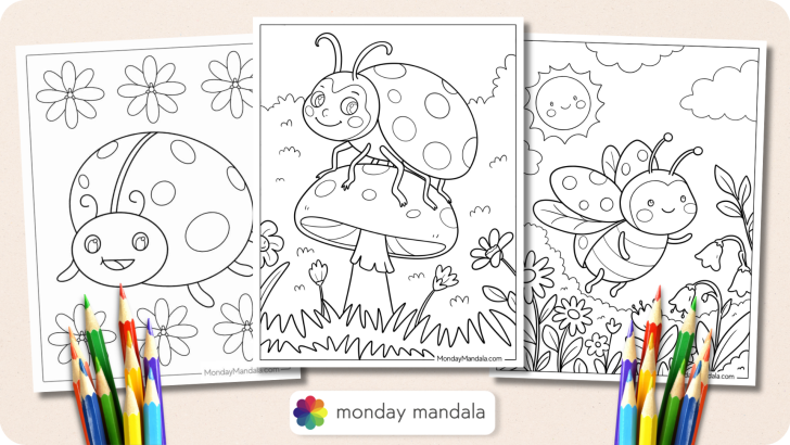 24 Ladybug Coloring Pages (Free PDF Printables)
