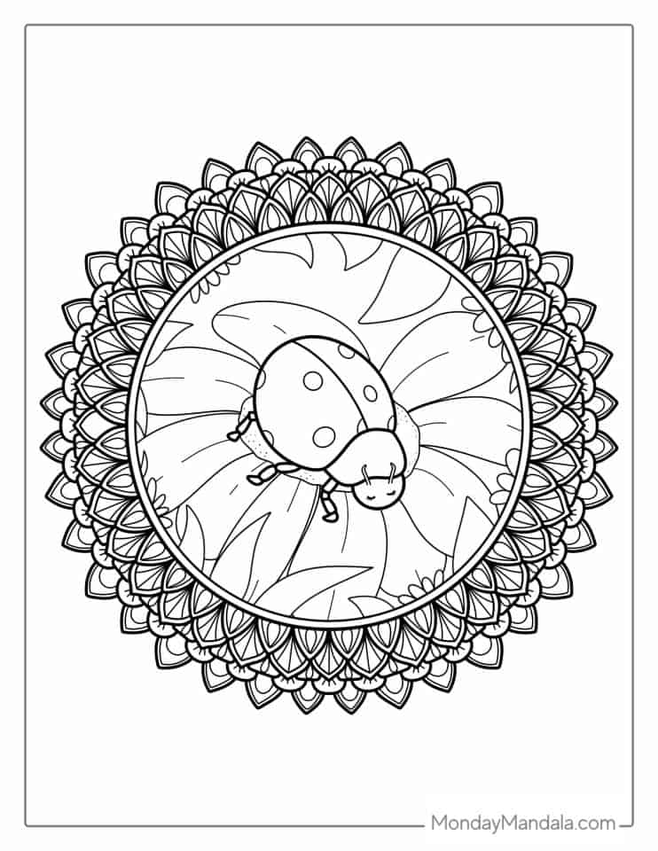 20 Ladybug Coloring Pages (Free PDF Printables)