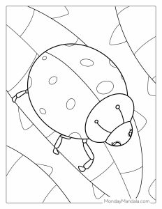 20 Ladybug Coloring Pages (Free PDF Printables)