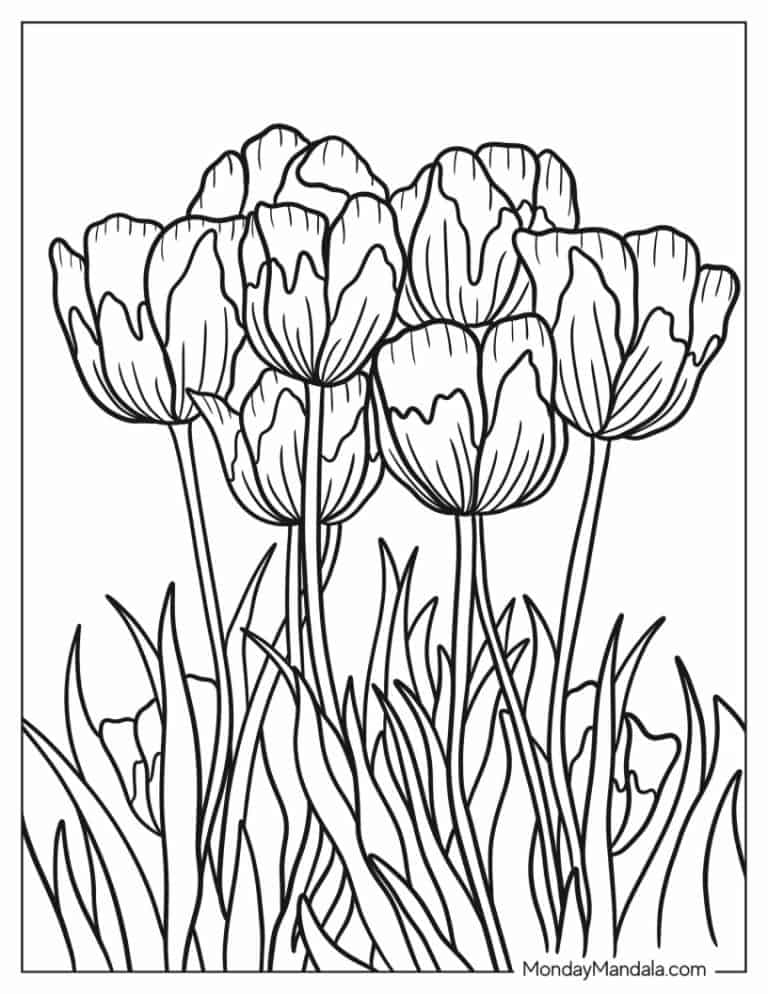38 Tulip Coloring Pages (Free PDF Printables)