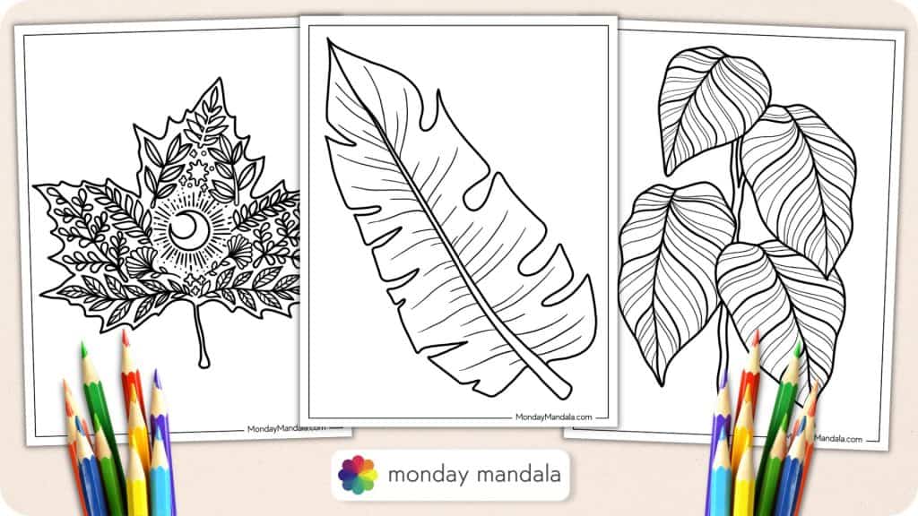 34 Leaf Coloring Pages (Free PDF Printables)