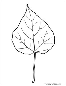 34 Leaf Coloring Pages (Free PDF Printables)