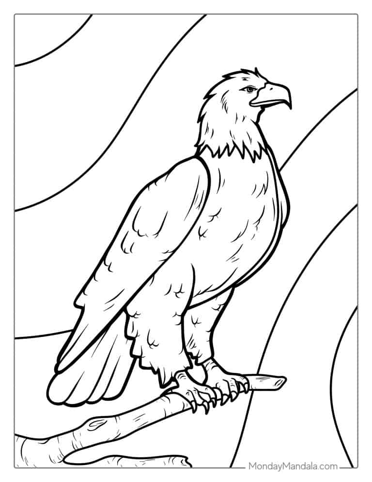 35 Bald Eagle Coloring Pages (Free PDF Printables)