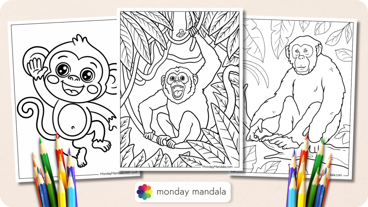 30 Monkey Coloring Pages (Free PDF Printables)