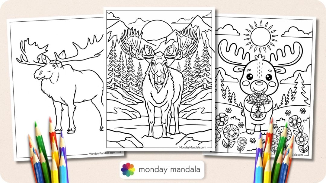 24 Moose Coloring Pages (Free PDF Printables)