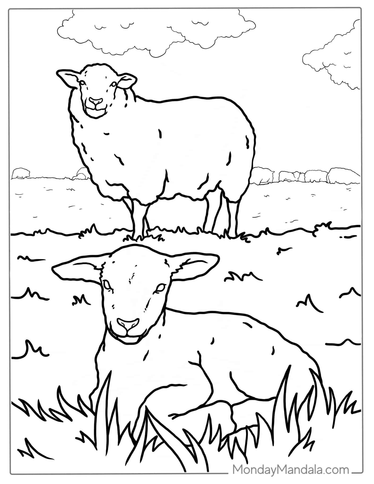39 Sheep Coloring Pages (Free PDF Printables)