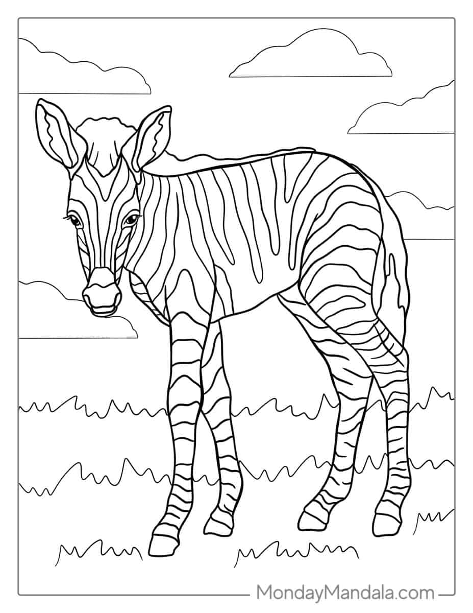 33 Zebra Coloring Pages (Free PDF Printables)