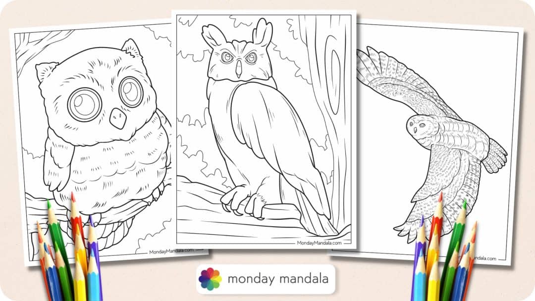 32 Owl Coloring Pages (Free PDF Printables)
