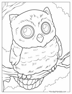 32 Owl Coloring Pages (Free PDF Printables)