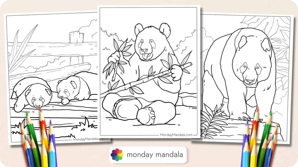 26 Panda Coloring Page (Free PDF Printables)