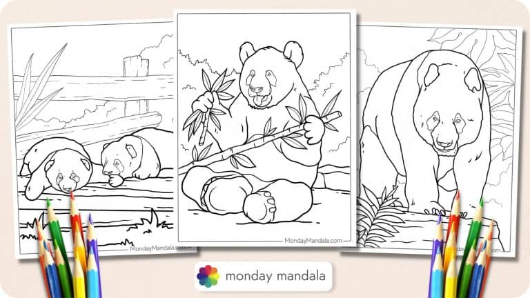 26 Panda Coloring Page (Free PDF Printables)