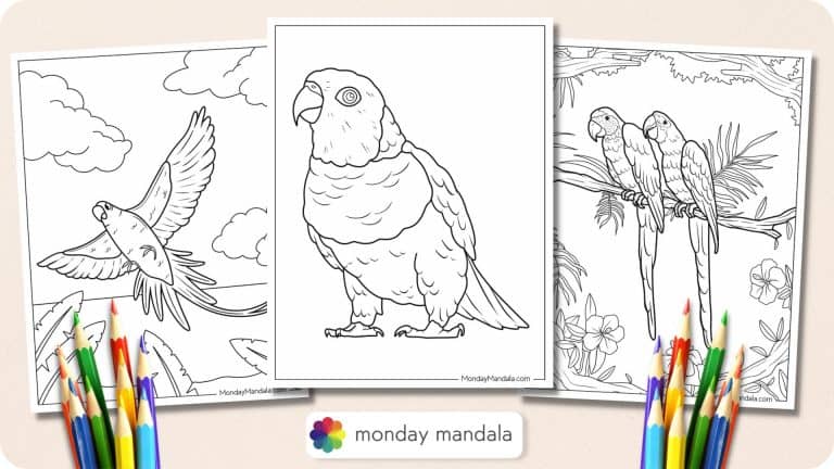 22 Parrot Coloring Pages (Free PDF Printables)
