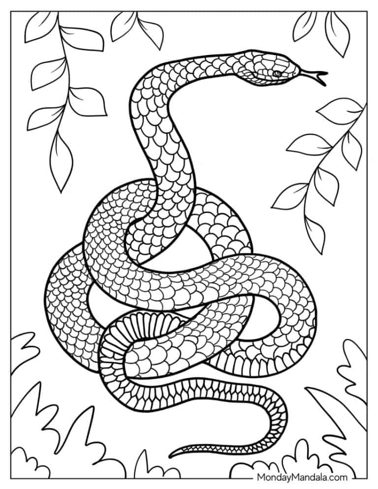 40 Snake Coloring Pages (Free PDF Printables)