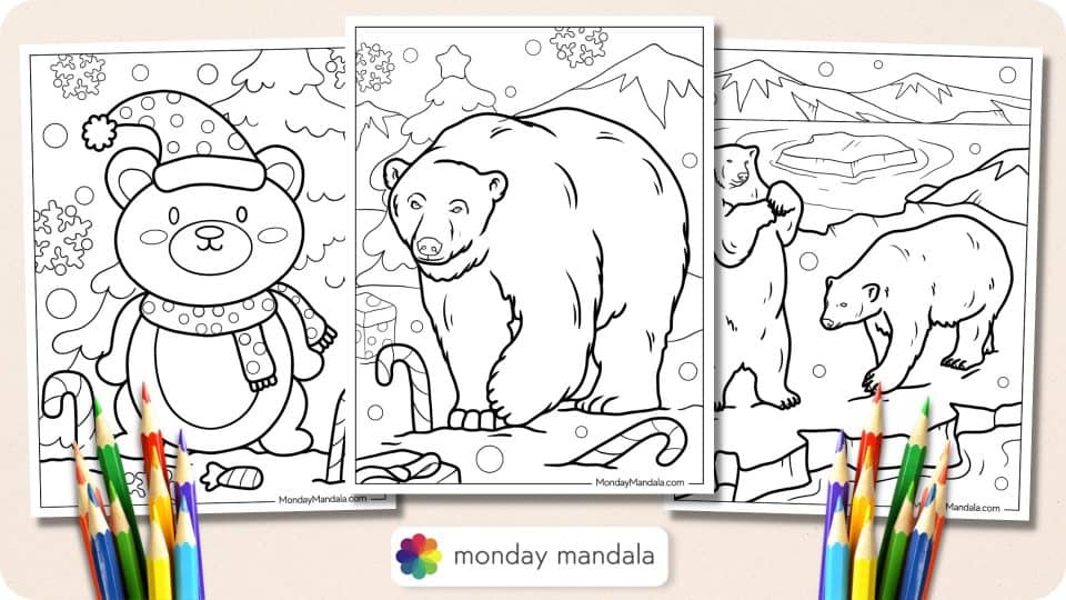 14 Polar Bear Coloring Pages (Free PDF Printables)