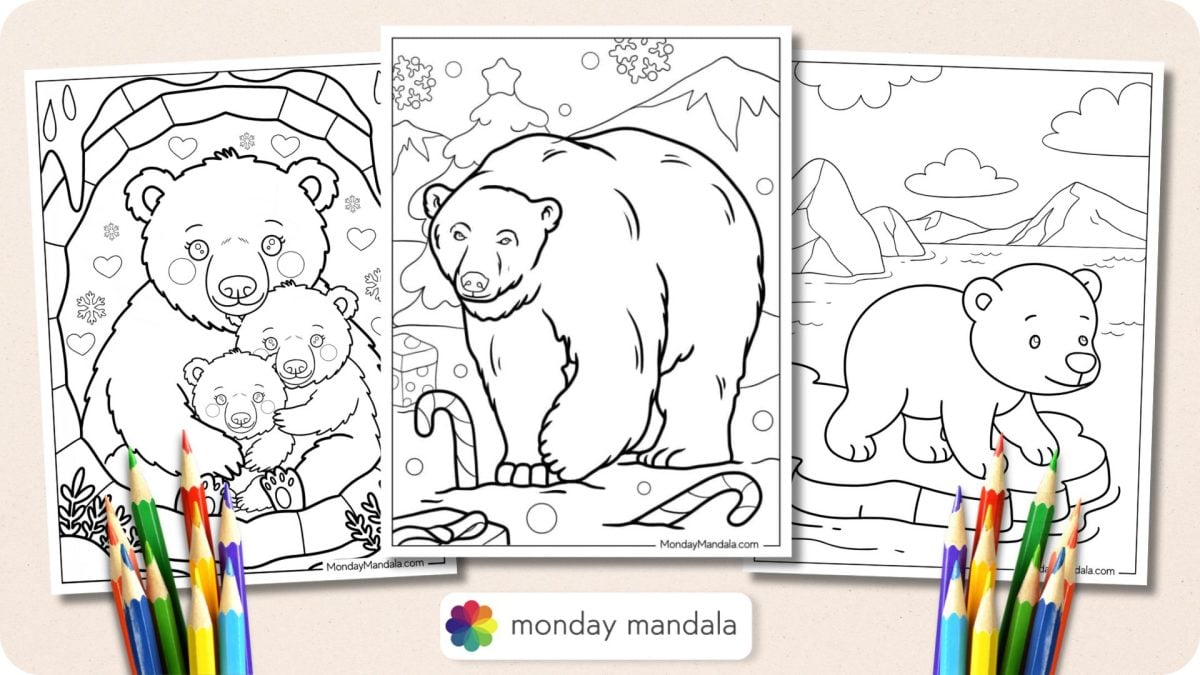 29 Polar Bear Coloring Pages (Free PDF Printables)