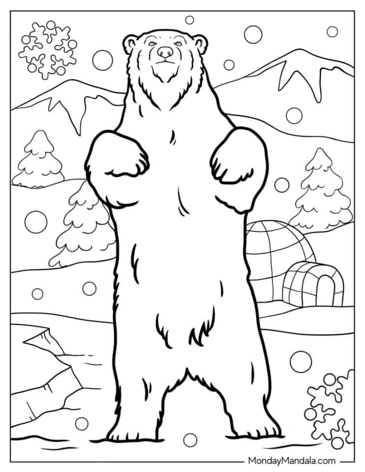 29 Polar Bear Coloring Pages (Free PDF Printables)