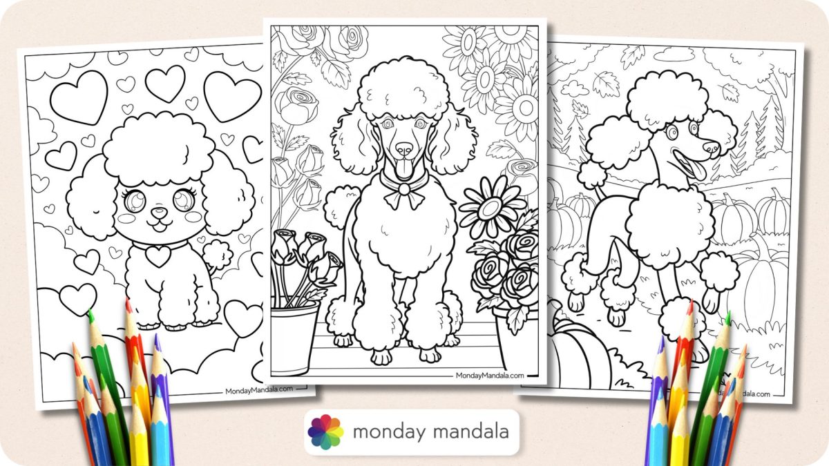 24 Poodle Coloring Pages (Free PDF Printables)