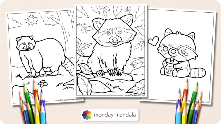 20 Racoon Coloring Pages (Free PDF Printables)