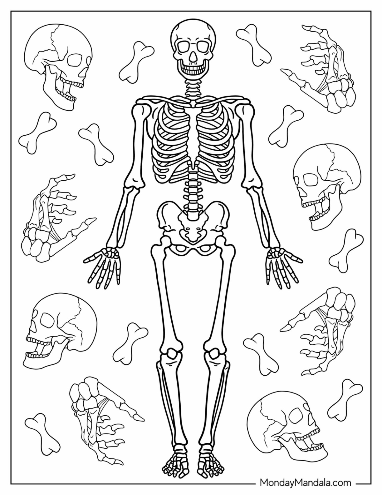 20 Skeleton Coloring Pages Free PDF Printables 