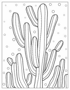 41 Cactus Coloring Pages (Free PDF Printables)