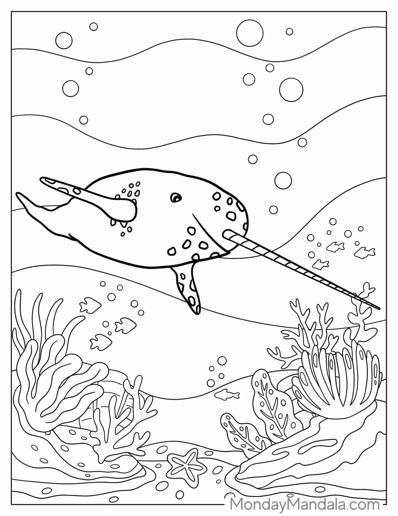 20 Narwhal Coloring Pages (Free PDF Printables)