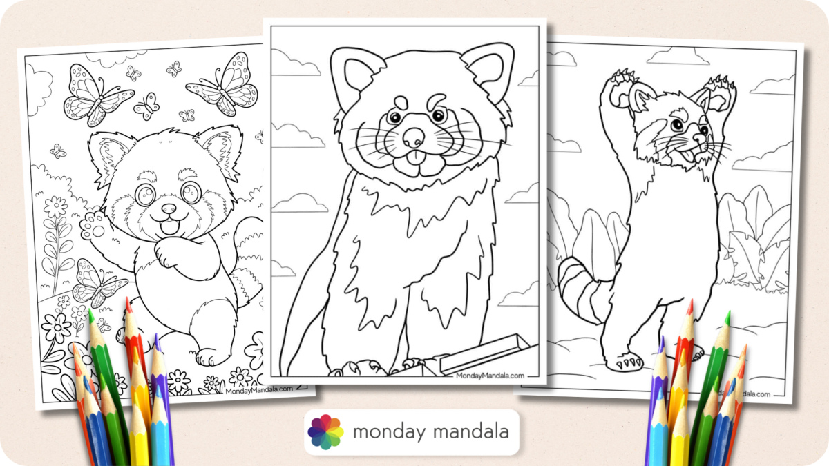34 Red Panda Coloring Pages (Free PDF Printables)